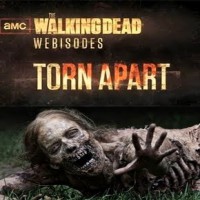 The Walking Dead Torn Apart